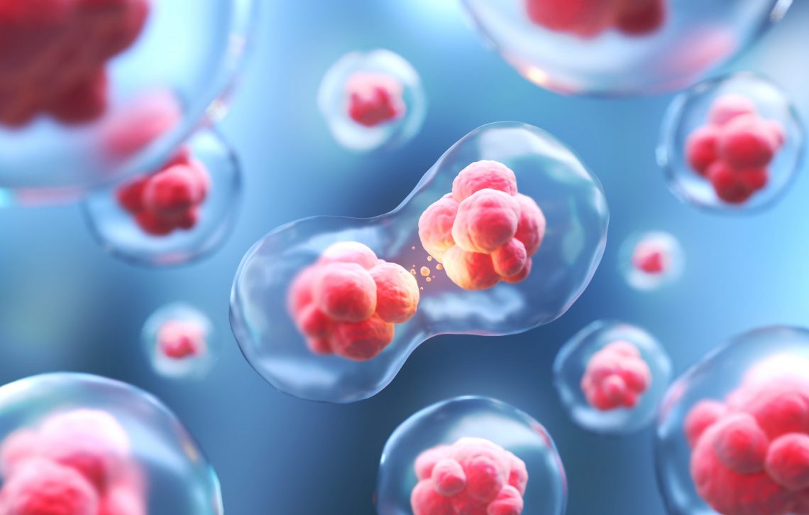 Apoptosis, Kanker dan Kematian - Majalah Mata Air